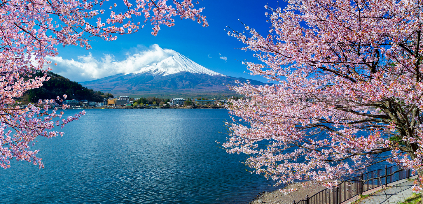 お花見やおいしいご飯を楽しもう!春におすすめの日本国内旅行先15選 ライフサポート 採用情報サイト